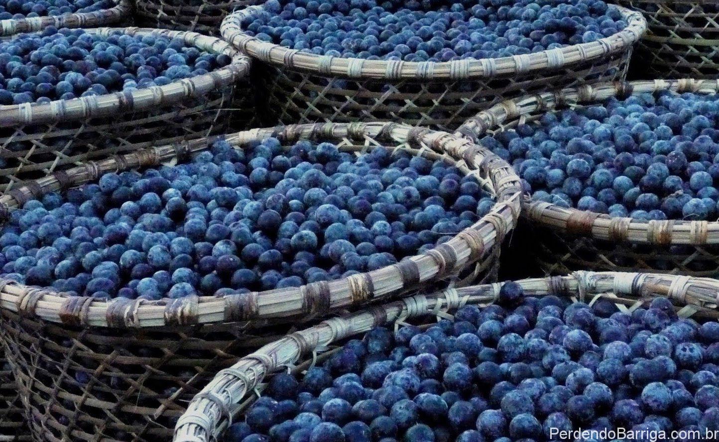 frutas-acai | Saúde – Blog OPAS