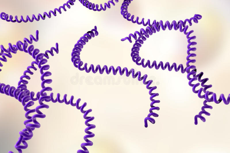 Leptospira | Saúde – Blog OPAS