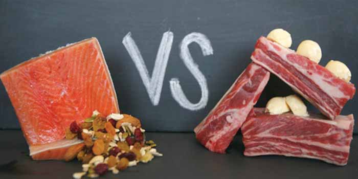 tipos de gordura | Saúde – Blog OPAS