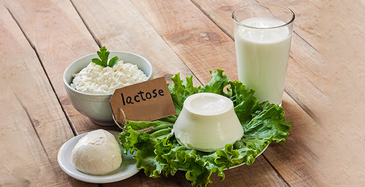 lactose leite queijo foto | Saúde – Blog OPAS