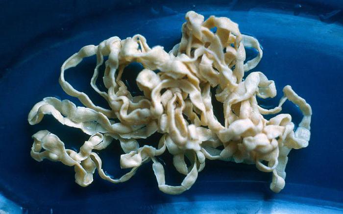 Quais os Sintomas de Vermes no Corpo?