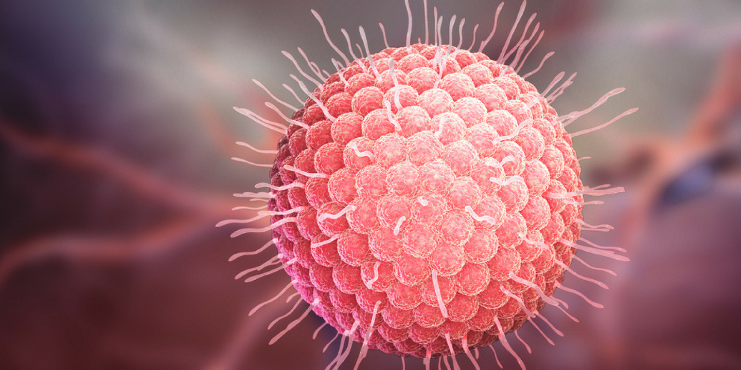 HERPES-ZOSTER | Saúde – Blog OPAS