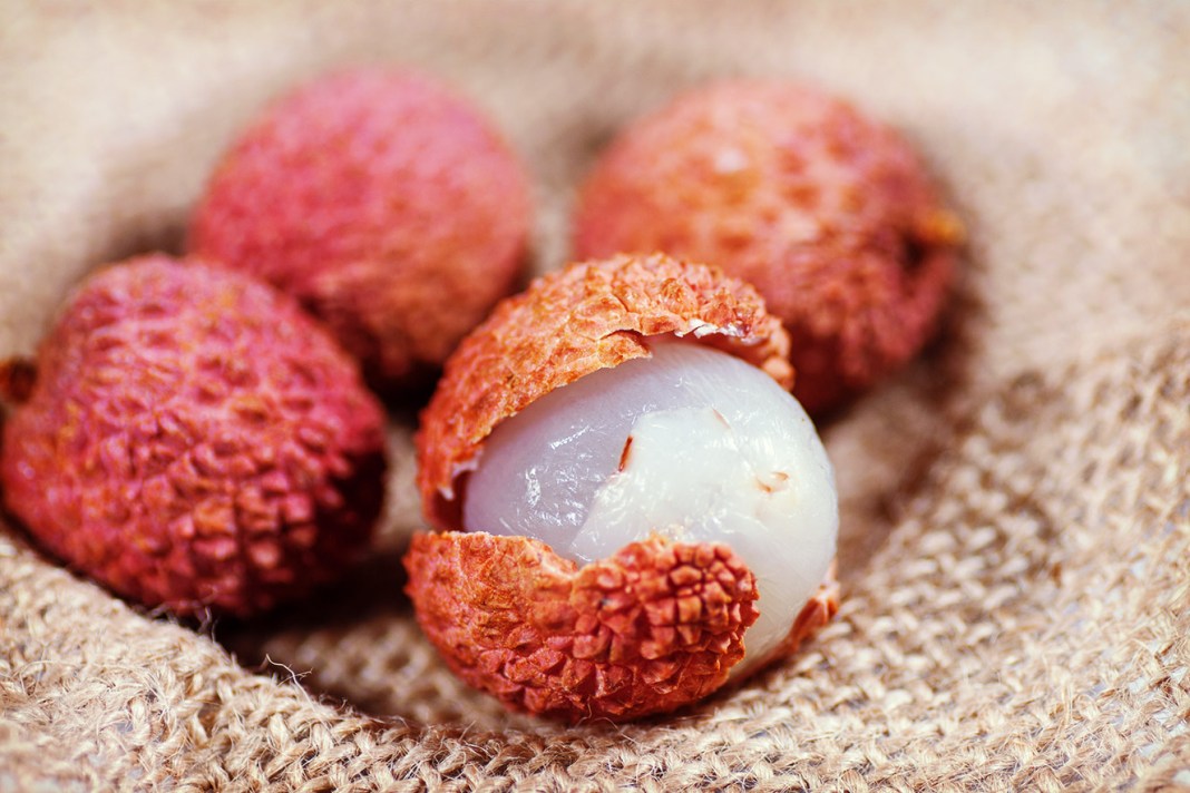 Lichia: Conheça Seus Benefícios